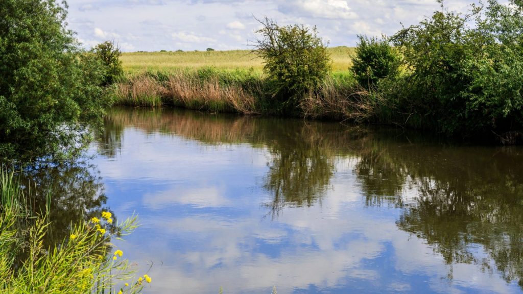 Home - Ceres Property