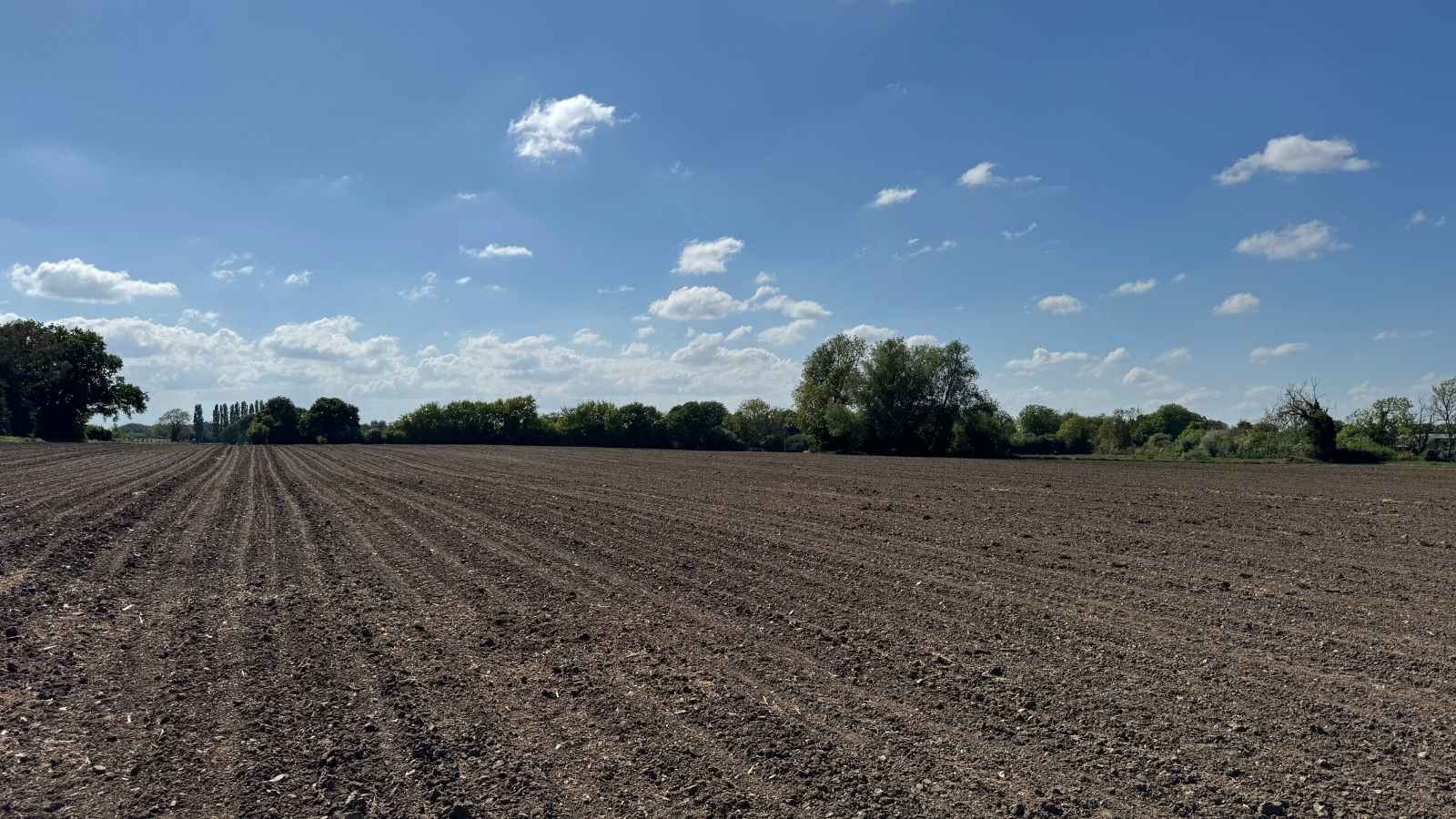 Land at Dam Brigg & Cuffer Lane - Ceres Property